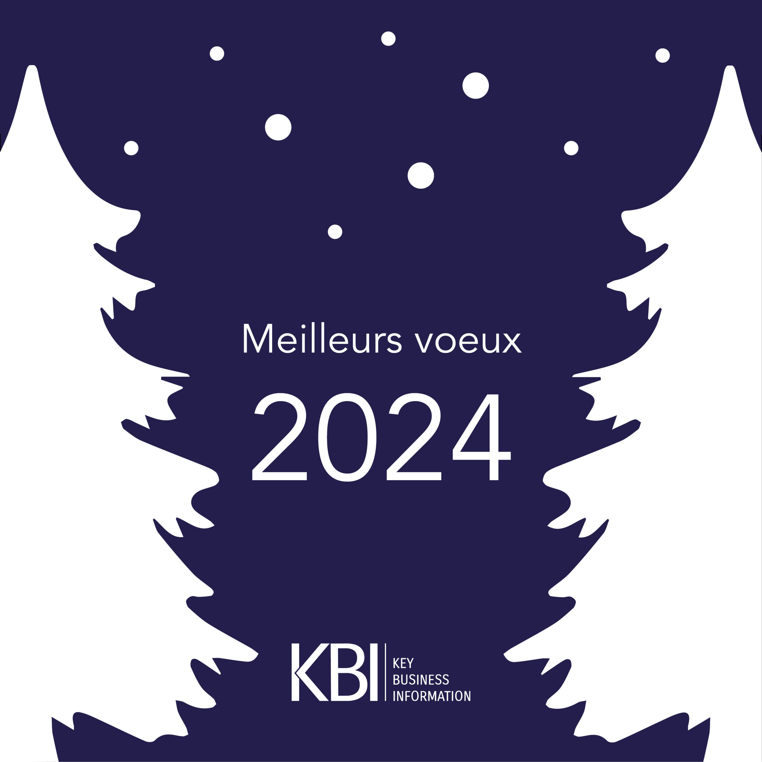 Bonne année ! - KEY BUSINESS INFORMATION